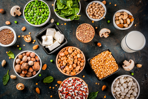 The 7 most common protein questions